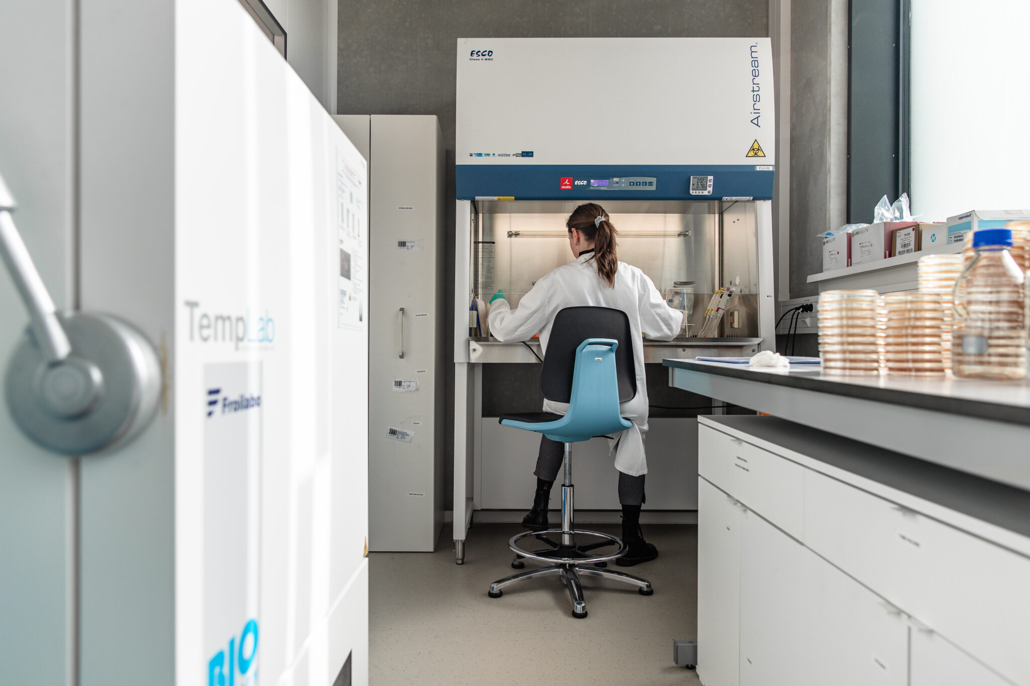 Probiotics in MBCPs and How They Work - Provilan Detergents-Cleaners